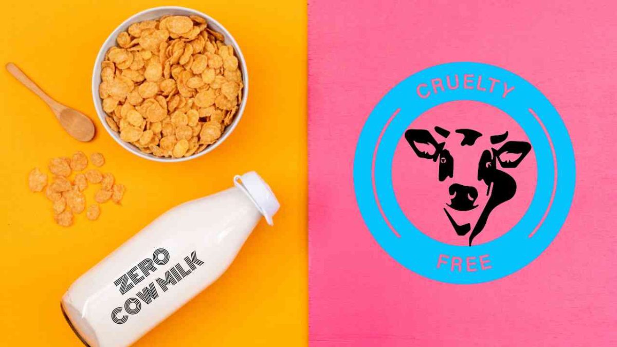 Milk Made Without Cows: Can Technology Revolutionize the Dairy Industry ...